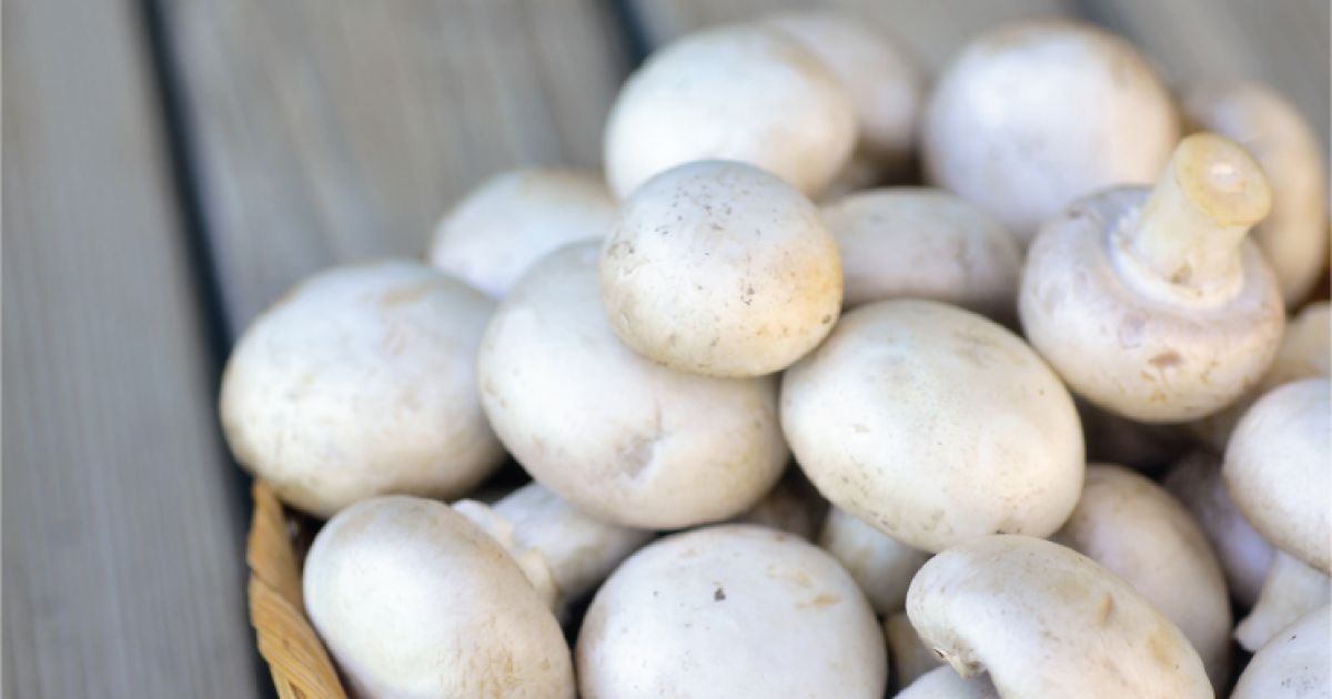 Hughes Group | Hughes Mushrooms